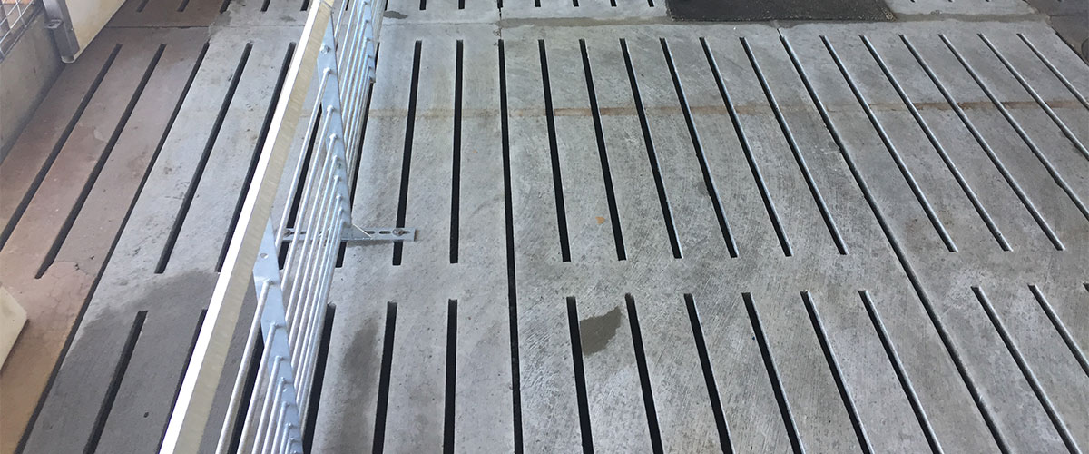 Your professional concrete pig slat replacement company